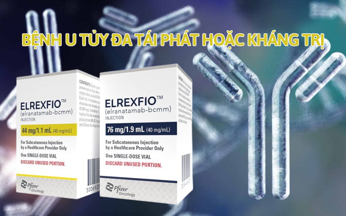 Thuốc Elranatamab điều trị bệnh u tủy đa tái phát hoặc kháng trị